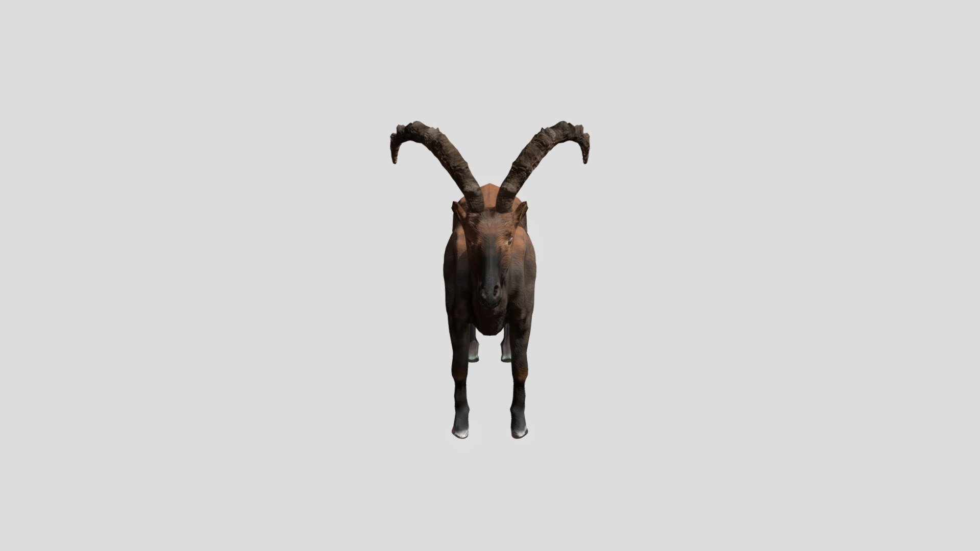 IBEX - 3D model by stking [d67b584] - Sketchfab