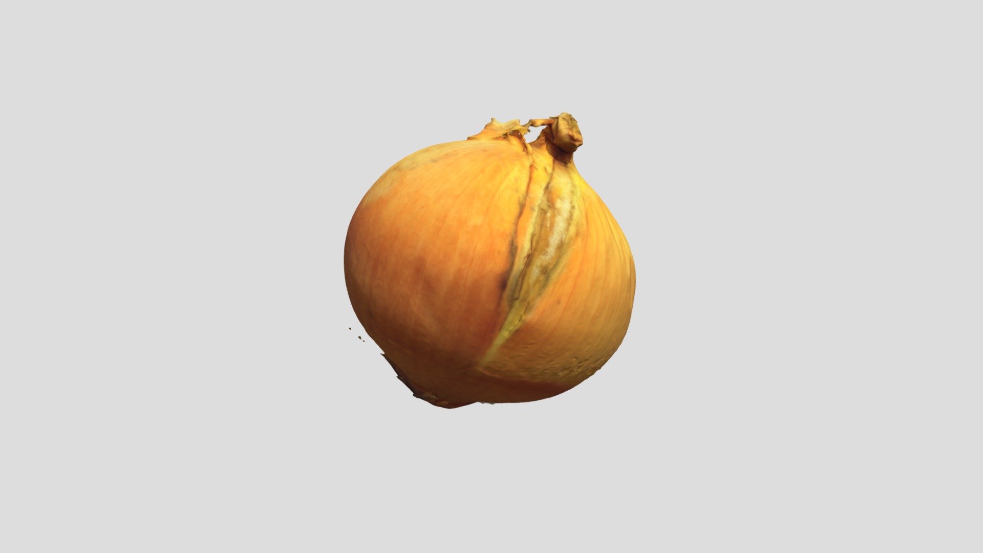 Onion - 3D model by sunshinehk [d6820fe] - Sketchfab
