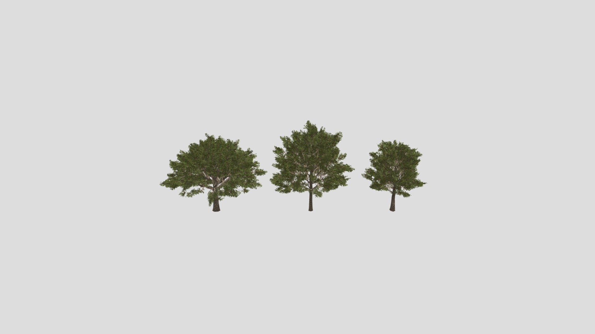 Trees - Download Free 3D model by sarpritsingh88 [d682a9b] - Sketchfab