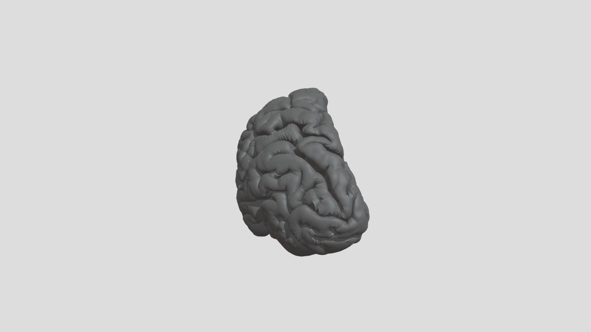 Creating a Spatial View of the Brain - Download Free 3D model by ...