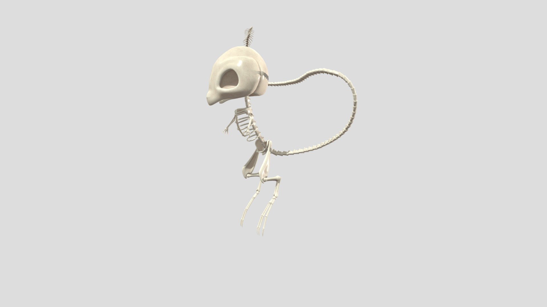 Mew Skeleton - Download Free 3D model by takulsaja (@tklasu666 ...