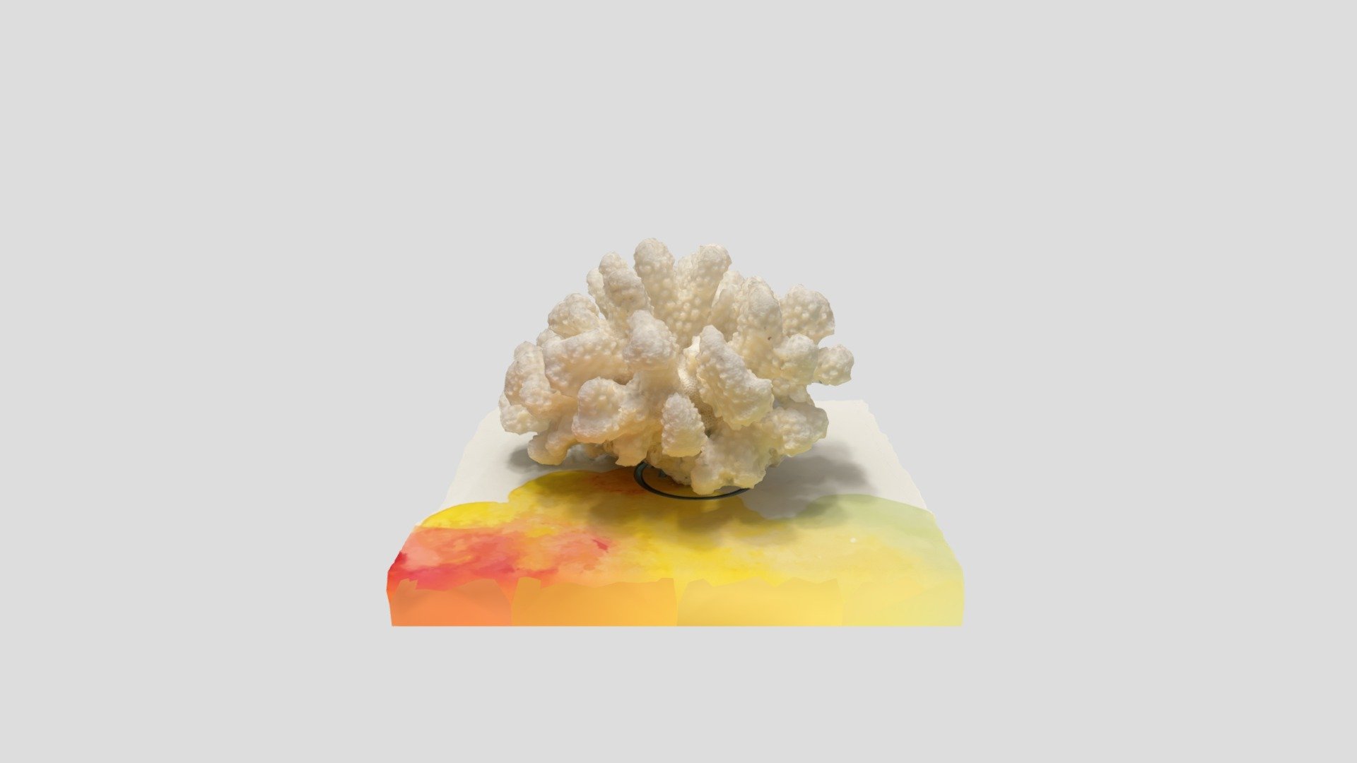 Coral - Download Free 3D model by iamluciddreamer195 [d69c864] - Sketchfab