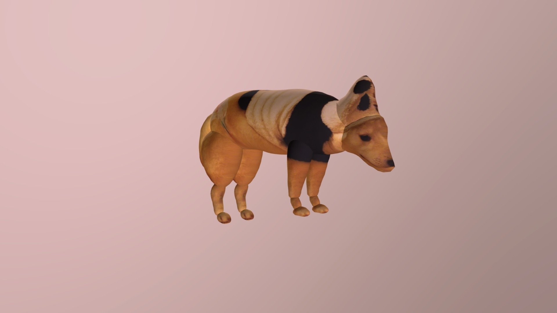Shiroko - 3D model by higemura [d69f0a0] - Sketchfab