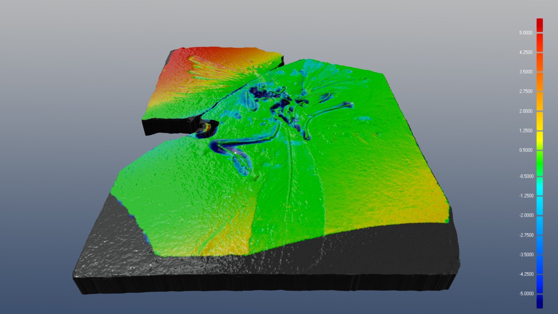 Archaeopteryx lithographica - 3D model by NHM_Imaging [d6aee89] - Sketchfab