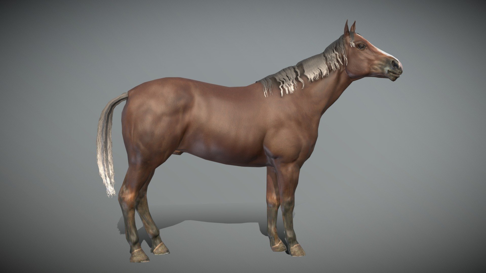 Horse Idle Animated - Buy Royalty Free 3D model by aaokiji [d6aff55 ...