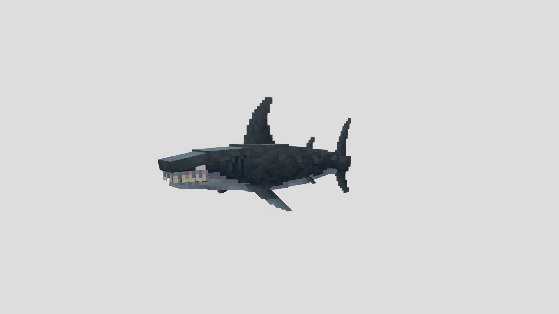 Shark - 3D model by john4er [d6b1f3b] - Sketchfab