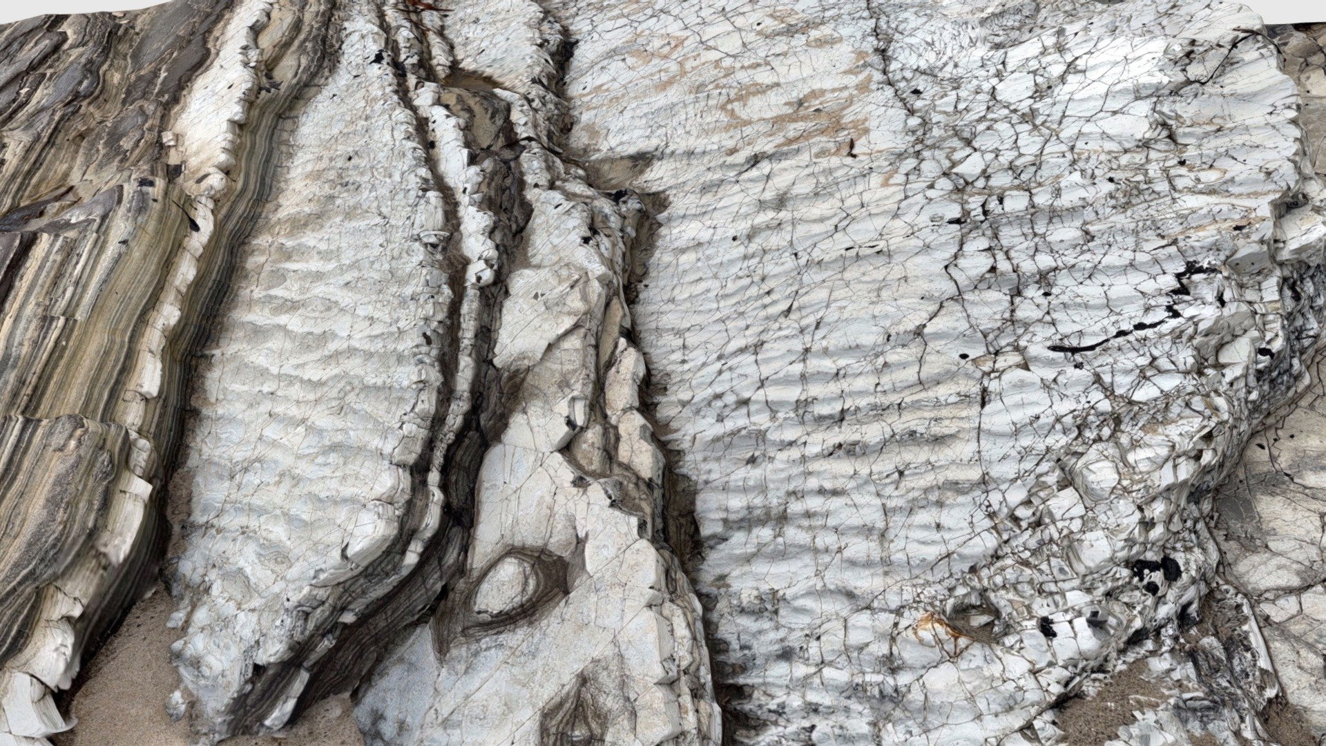 Ripple bed, Monterrey Formation. - Download Free 3D model by Robert ...