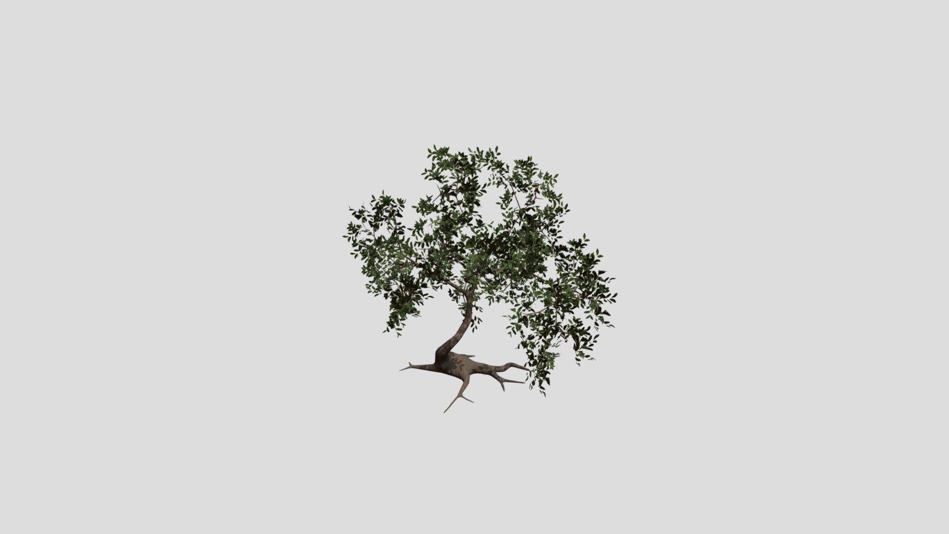 Stylized tree - 3D model by jjtorenti [d6c16a7] - Sketchfab