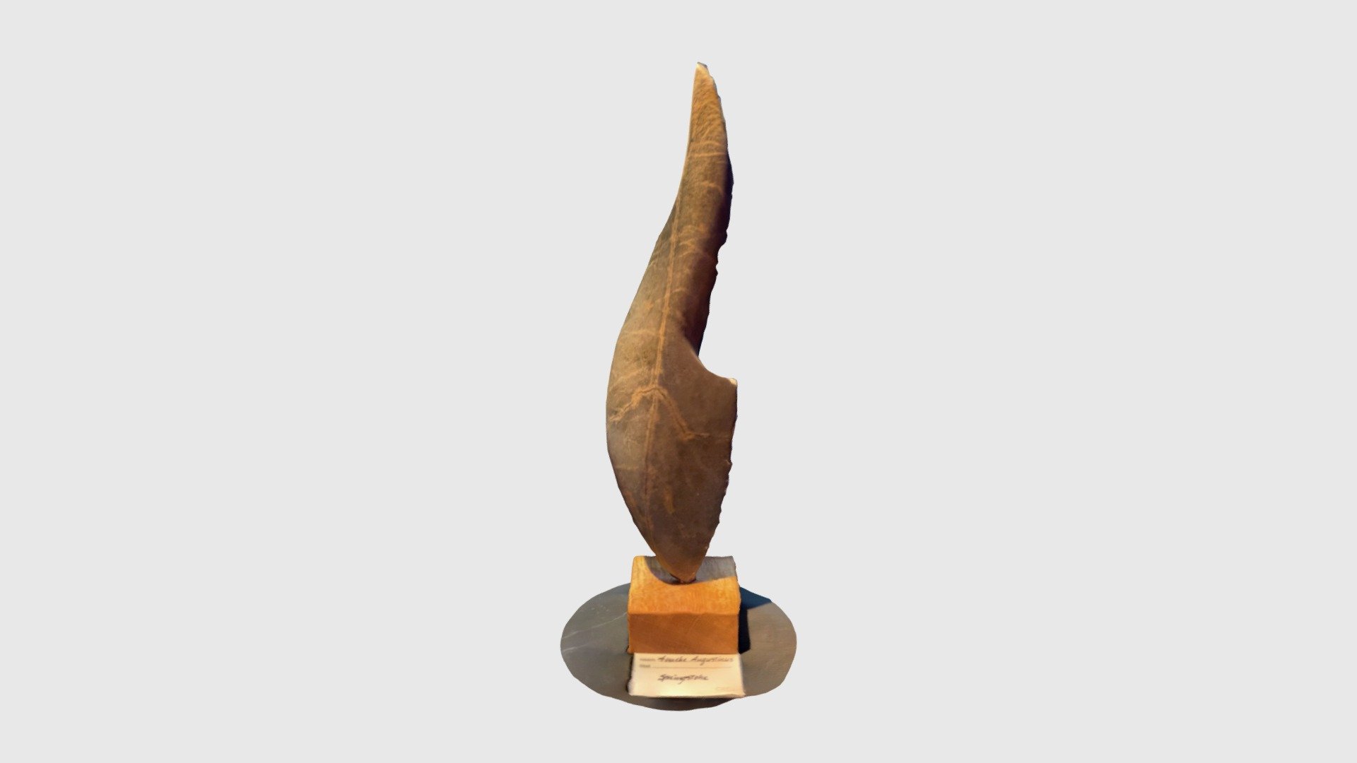 CKC beeld 2 - Download Free 3D model by CKC Digital Art Lab ...