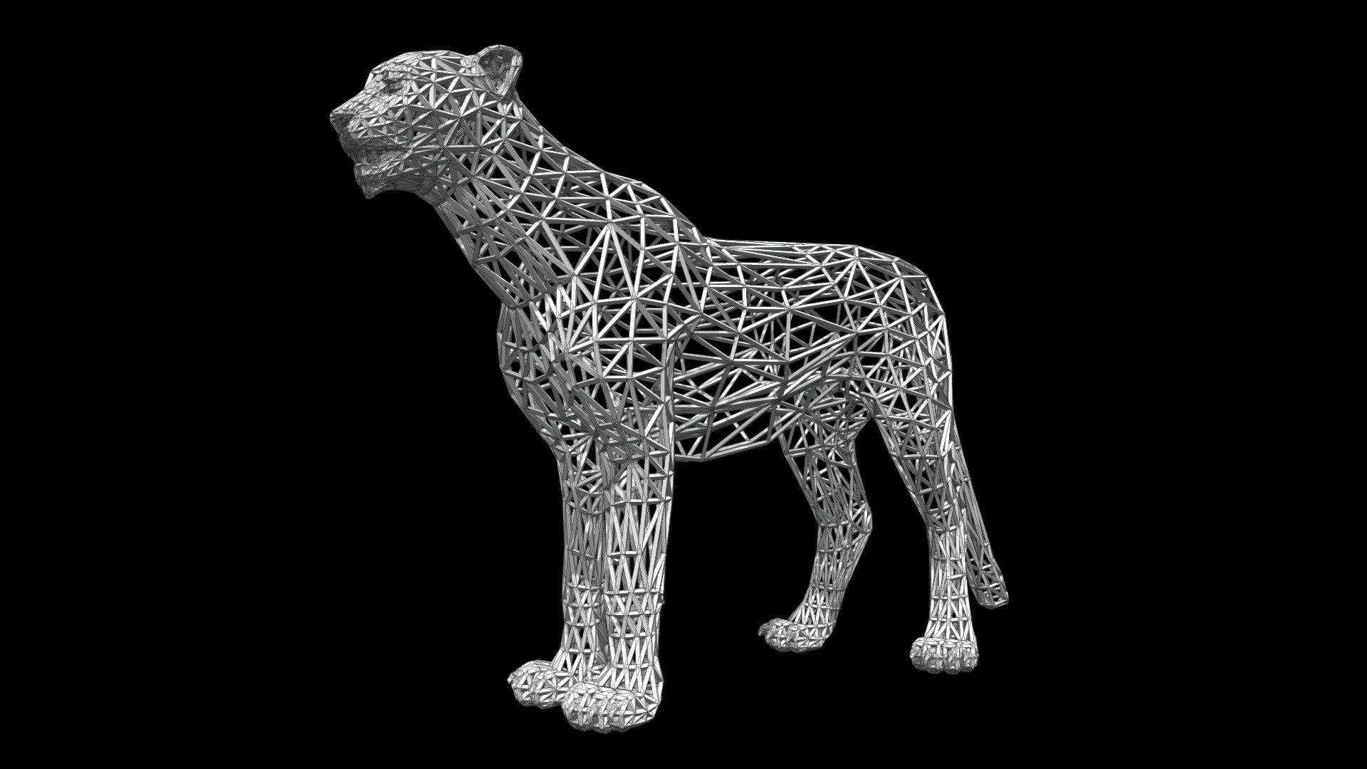 LEOPARD WIREFRAME - Buy Royalty Free 3D model by DTA DESIGN STUDIO ...