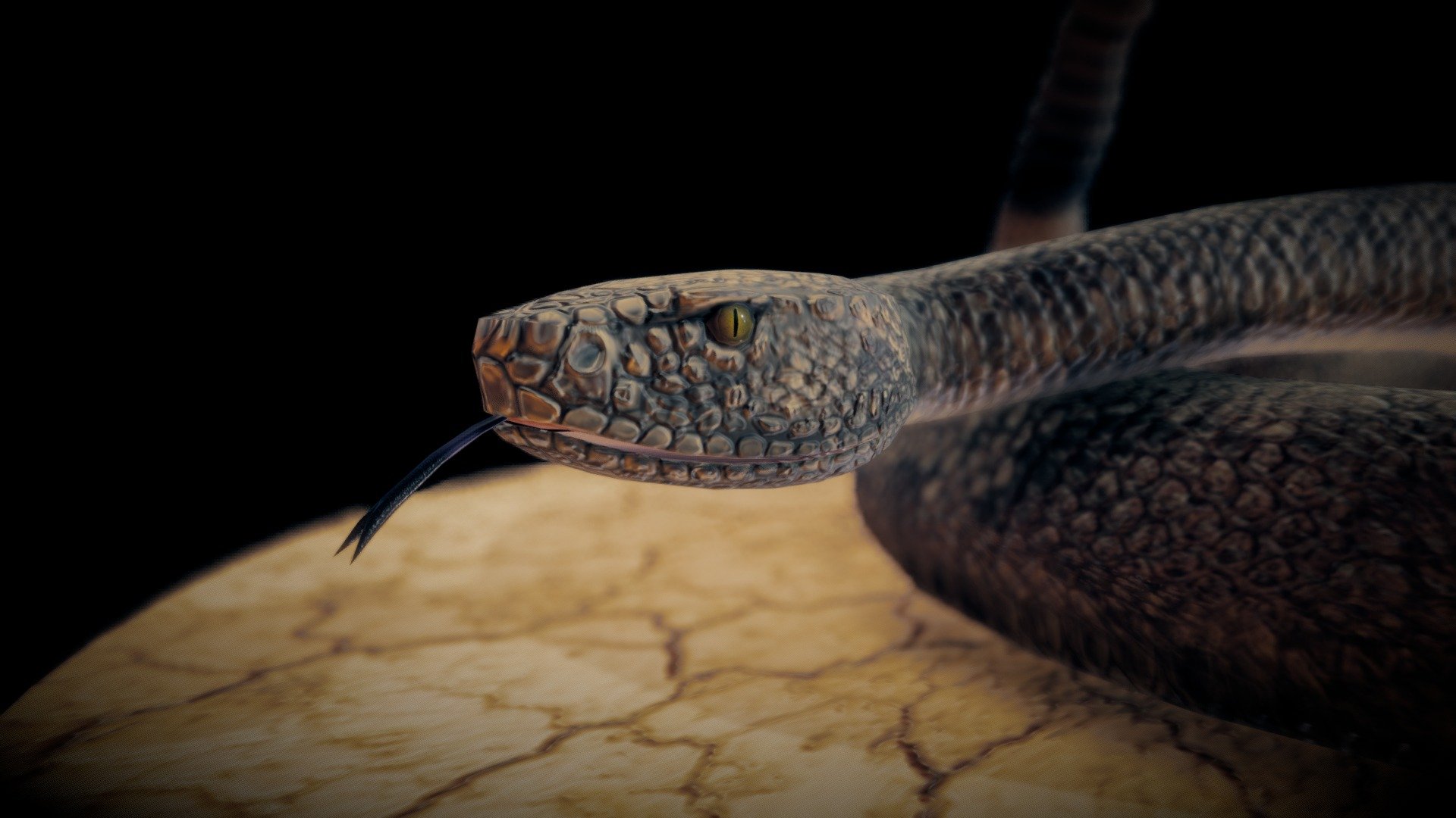 Rattlesnake - 3D model by dagtholander [d6cf1a1] - Sketchfab
