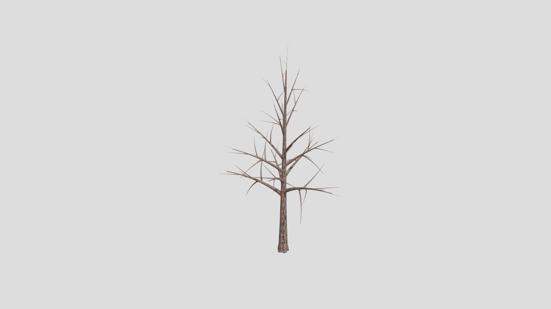 Basic Bark Tree - No Leaves - Download Free 3D model by edhiggins ...
