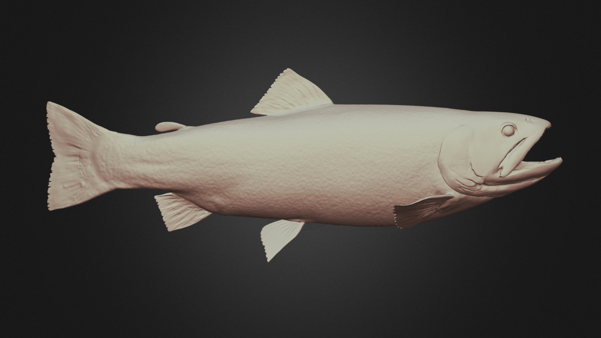 FEMALE RAINBOW TROUT - 3D model by Lakehead Anthropology ...