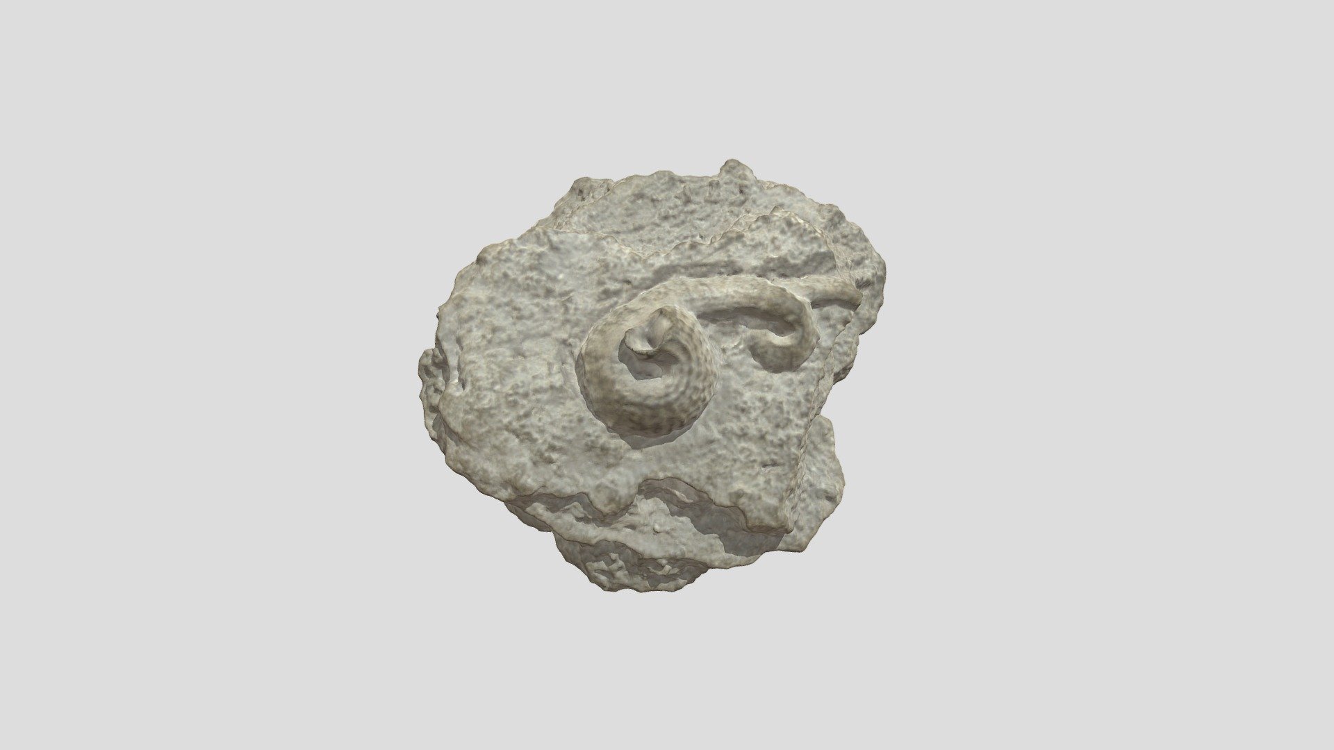 Worm Burrow - 3D model by UIPaleoRepository [d6eecf4] - Sketchfab