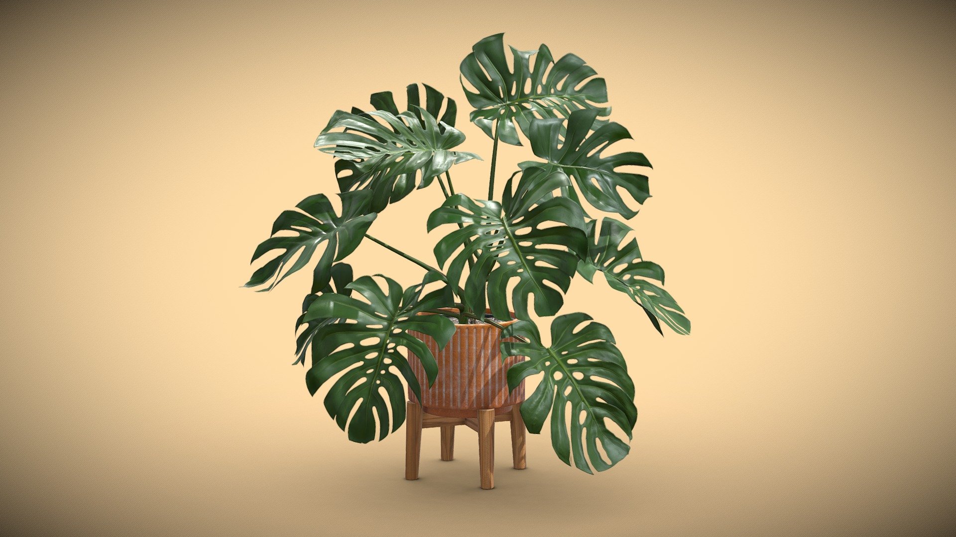 Stand Pot Plant Monstera Deliciosa - Buy Royalty Free 3D model by ...