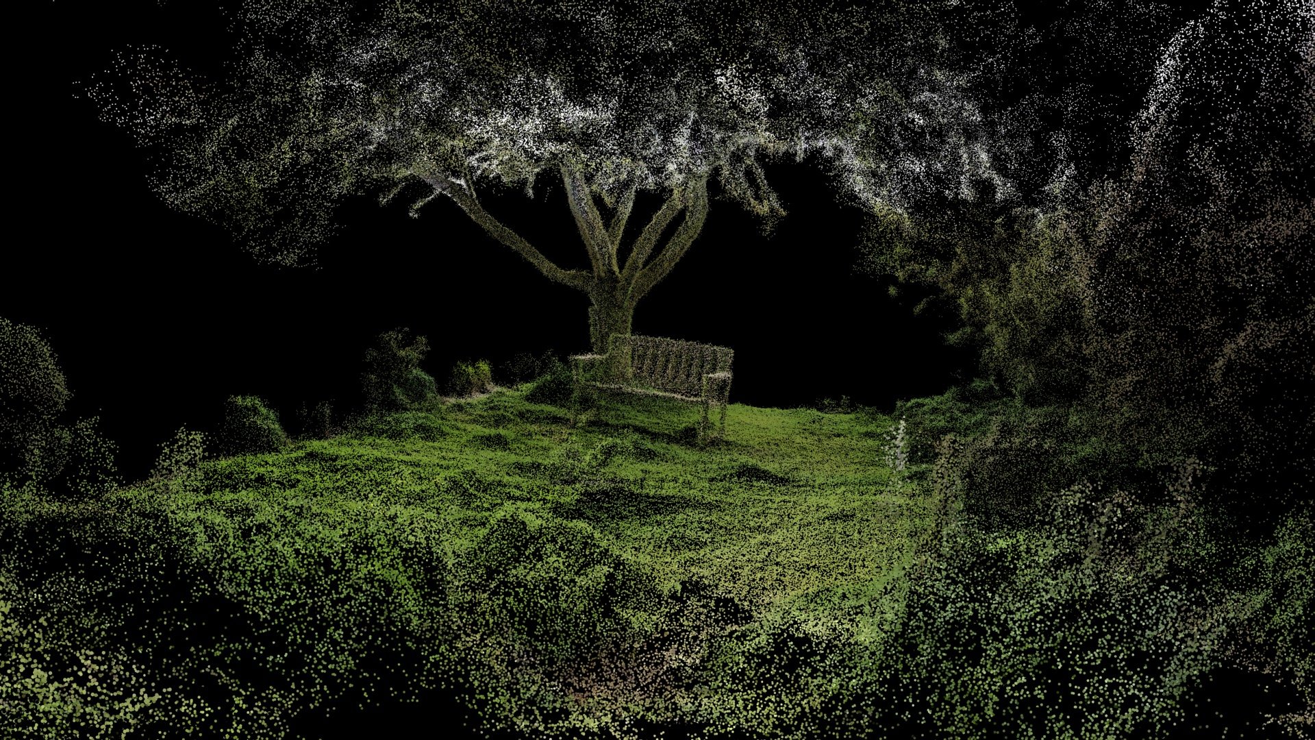 Single Tree LiDAR Example - 3D model by freddieryan [d6f69cf] - Sketchfab