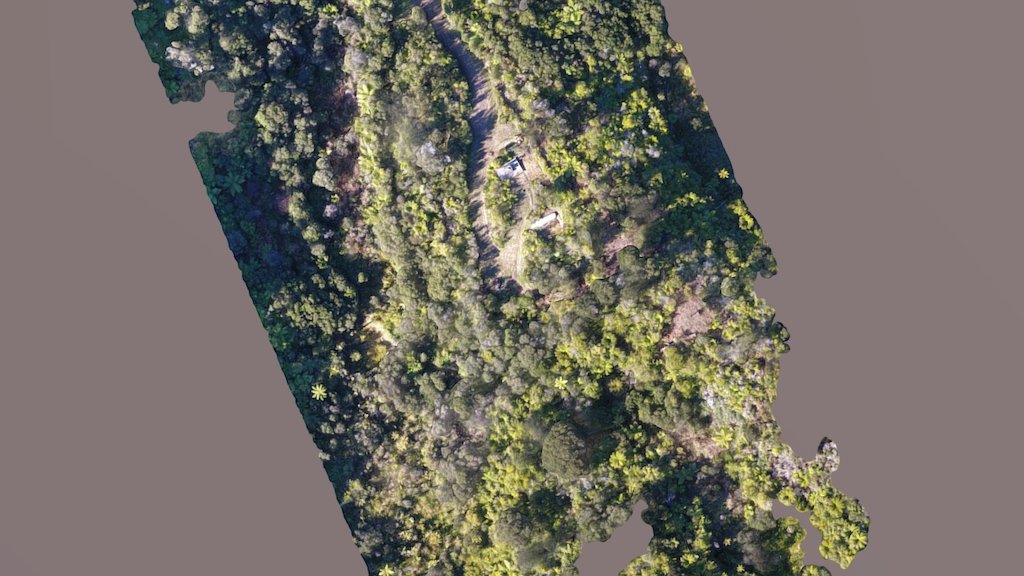 Project Flora Y Fauna - 3D model by Efrog451 [d6ff912] - Sketchfab