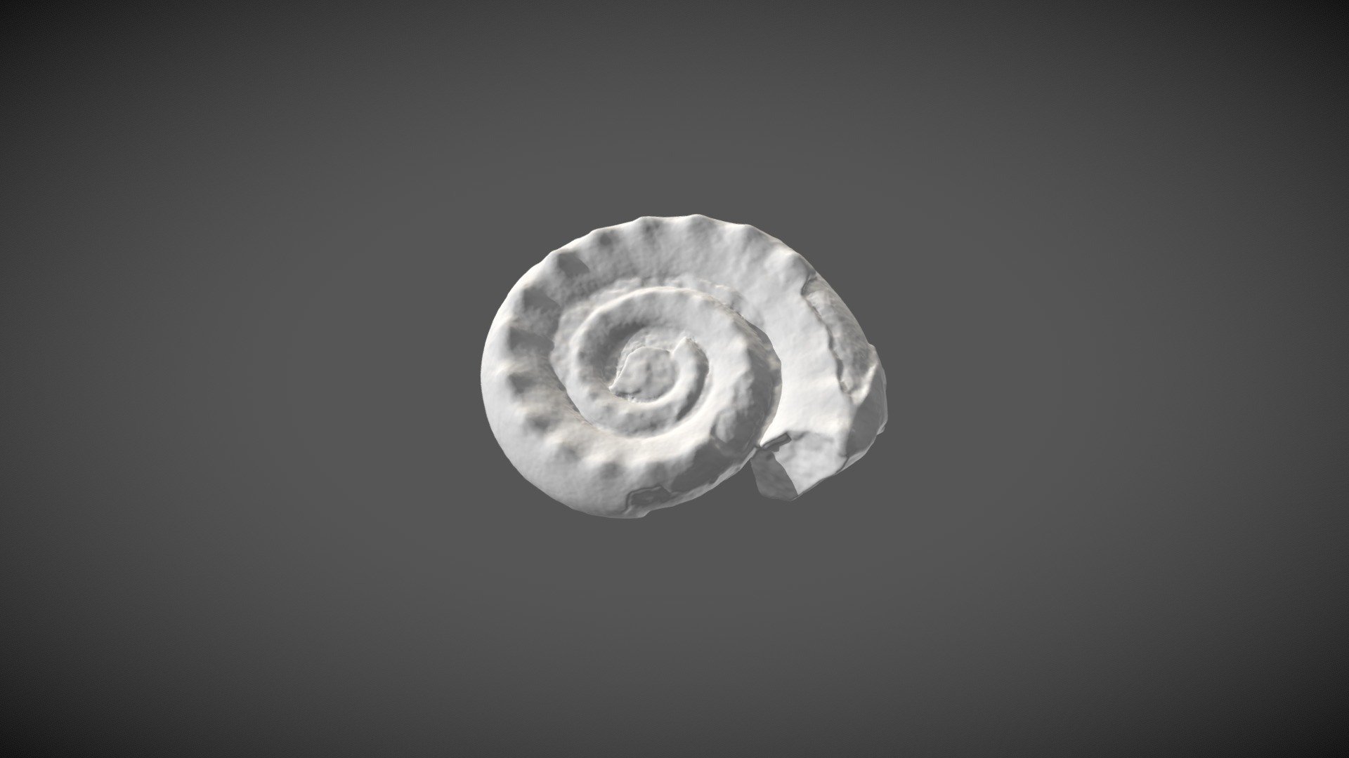 Porcellia, a Paleozoic gastropod - Download Free 3D model by EDDyLab ...