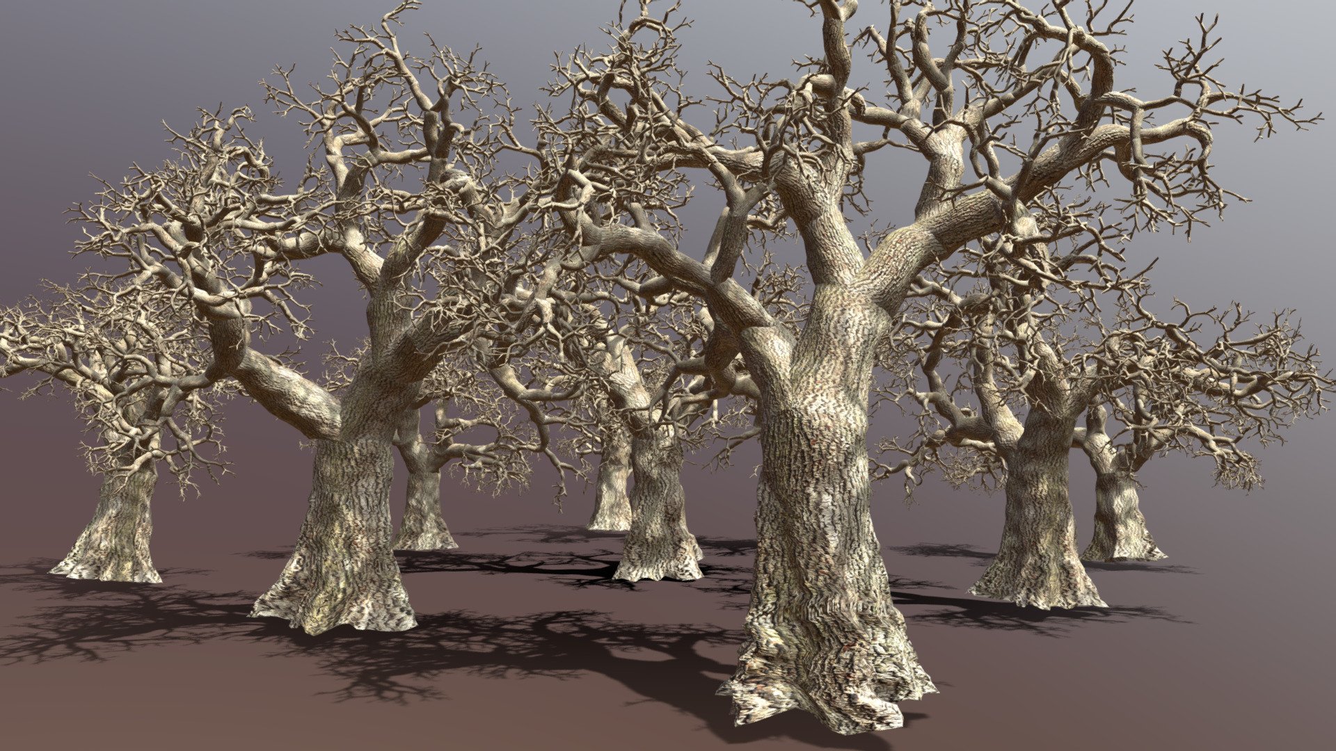 Oak Tree Pack (high-poly) - Buy Royalty Free 3D model by Sereib [d704774] - Sketchfab Store