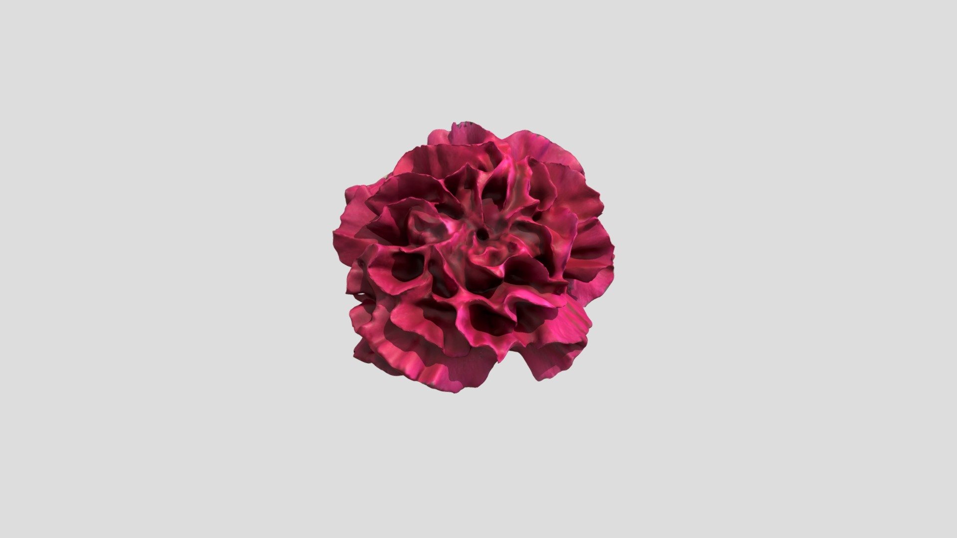 Flower - 3D model by jaelynvalles (@jaelyn-valles) [d70821b] - Sketchfab