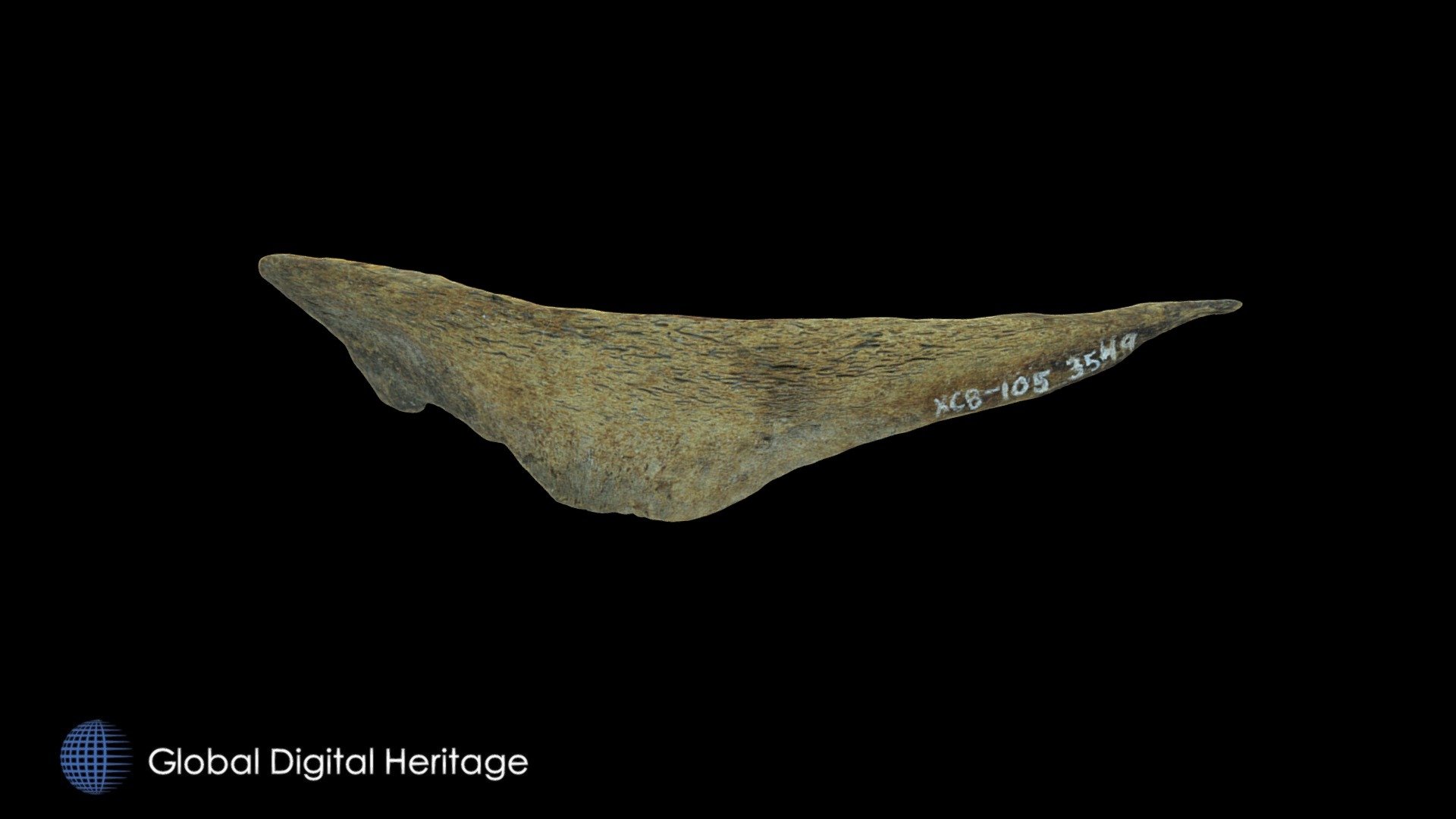 Caribou Antler Awl, XCB-105-3549. 400 BCE-100 CE - Download Free 3D ...
