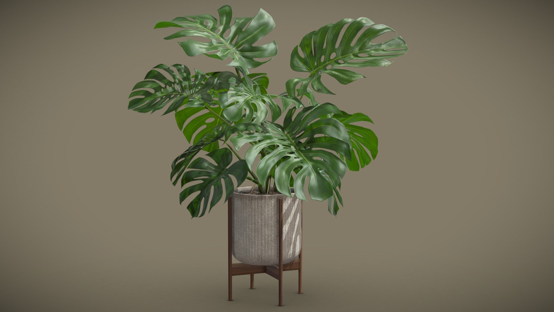 Potted Monstera Deliciosa - Buy Royalty Free 3D model by AllQuad ...