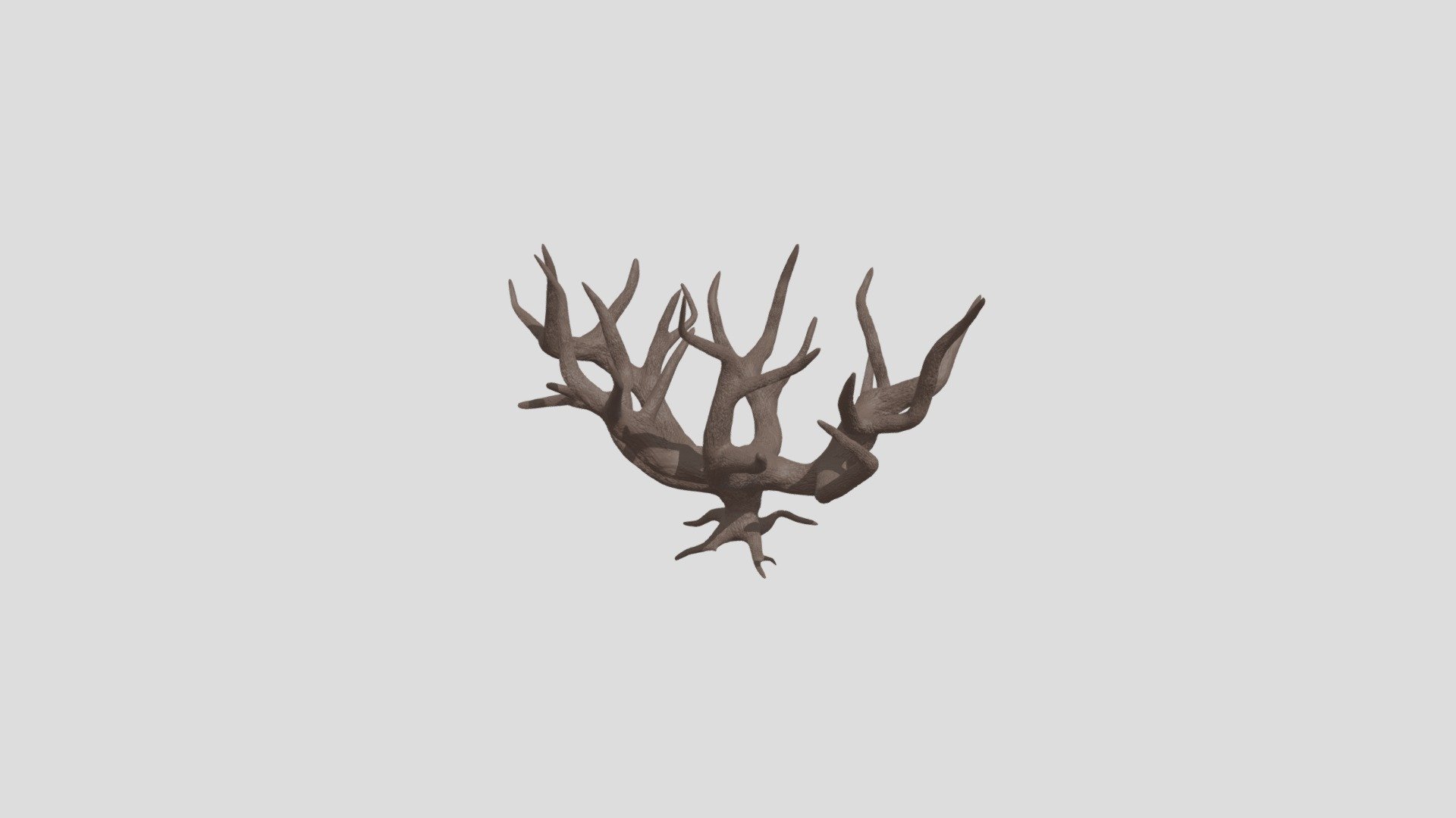 tree - 3D model by arghavan.tah [d7362e0] - Sketchfab