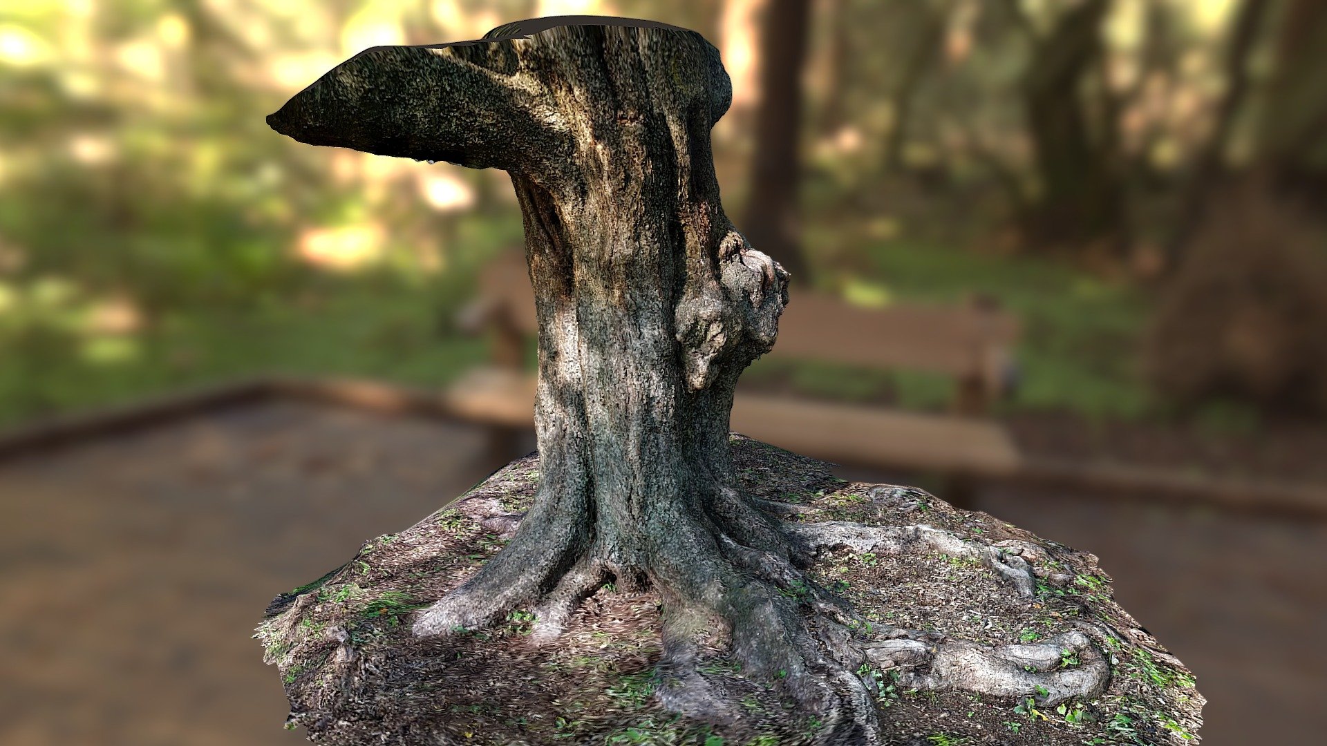 White's Tree - 3D model by philnolan3d [d74c7ef] - Sketchfab