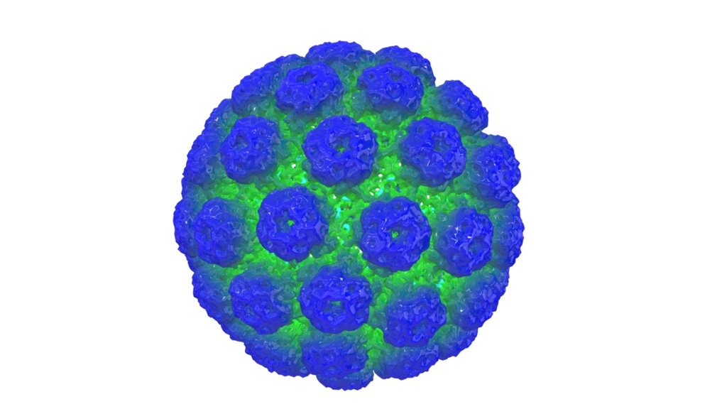 EMD-3283 - 3D model by Interactive 3D Data (@proteinsimulation ...