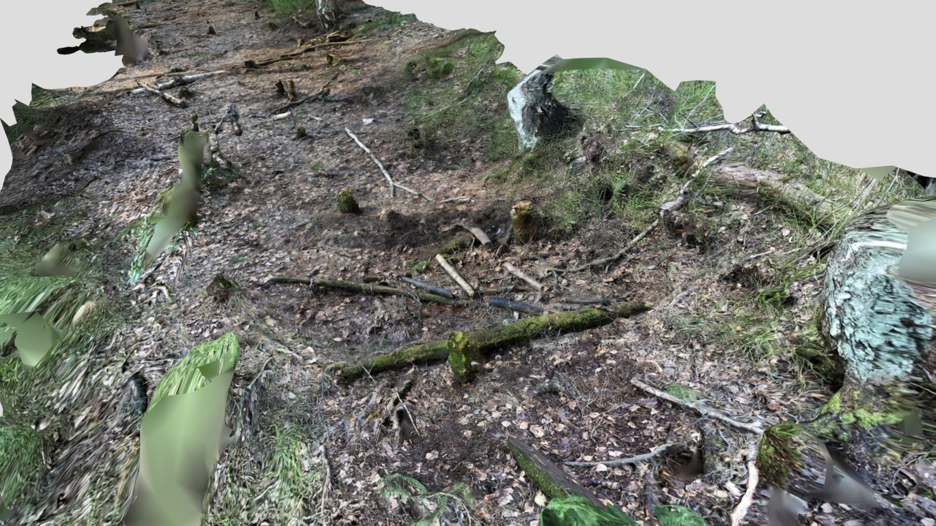 Remains of WW1 barbed wire obstacle, Finland - Download Free 3D model ...
