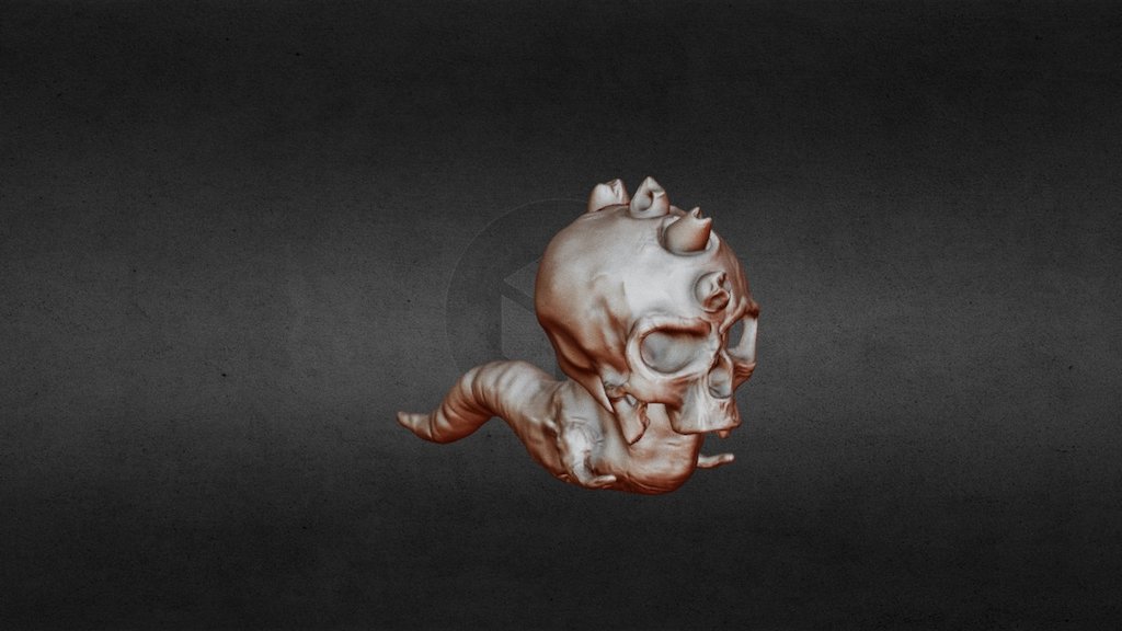 Worm Skull - 3D model by emilsvfx [d755f94] - Sketchfab