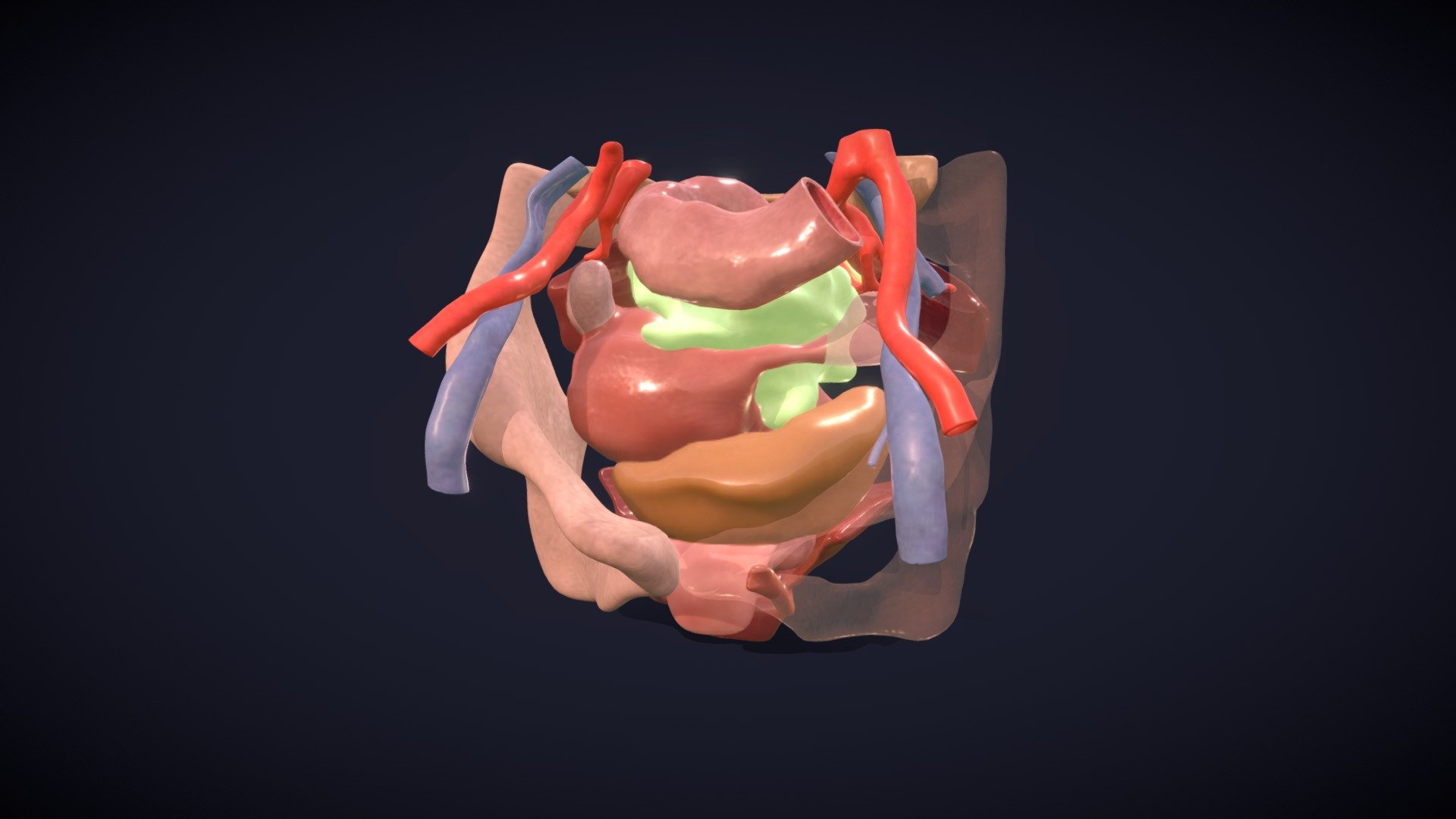 Complex cancer 1 - 3D model by jordanfletcher [d758440] - Sketchfab