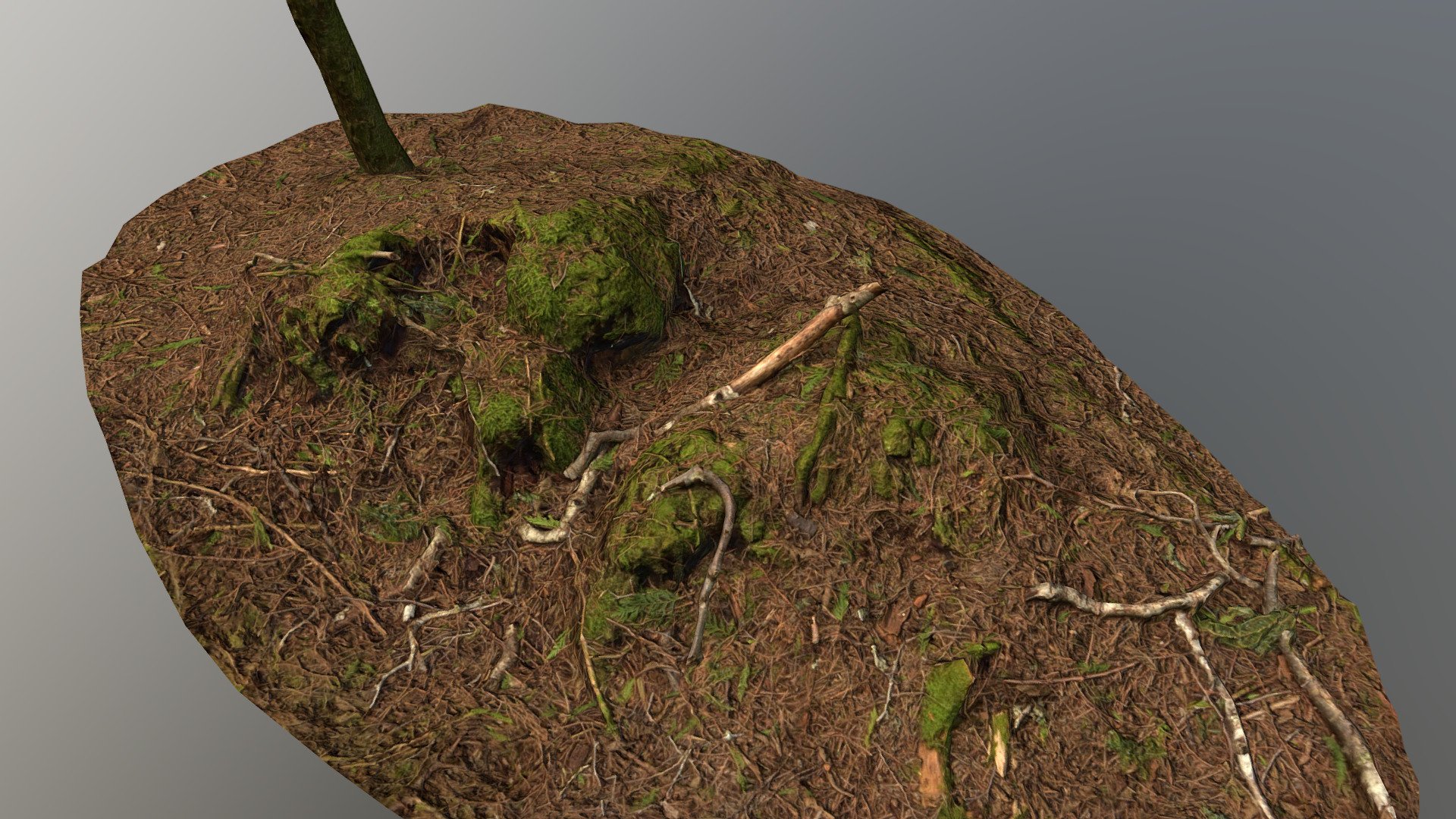 Forest Floor Part - 3D model by peter54 [d75ee89] - Sketchfab