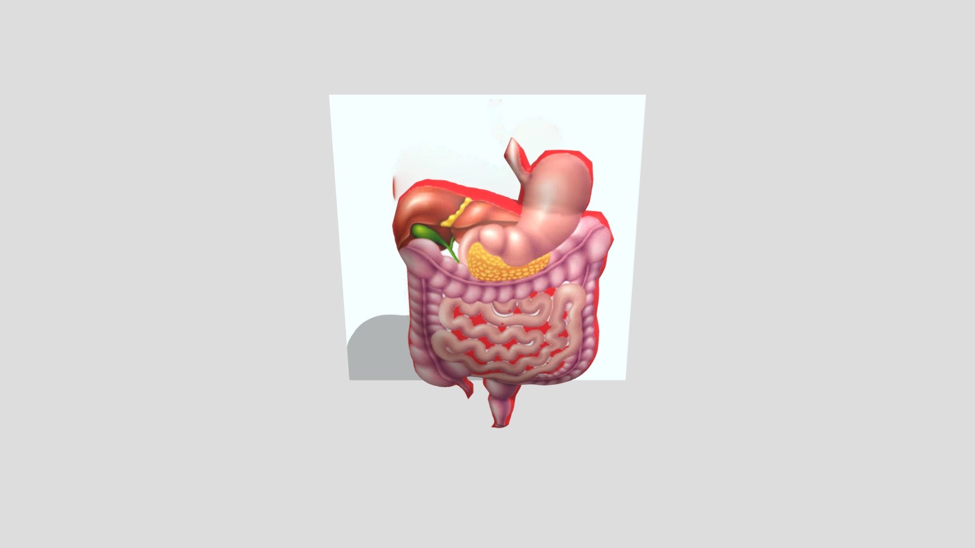 Reni - Download Free 3D model by renif0133 [d76a647] - Sketchfab