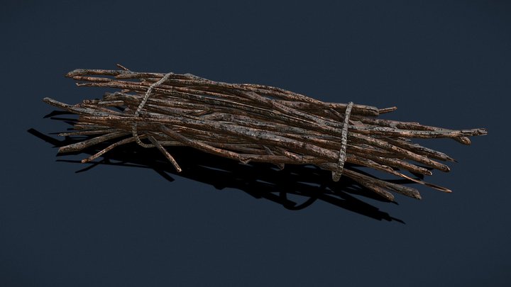 Twigs 3D models - Sketchfab