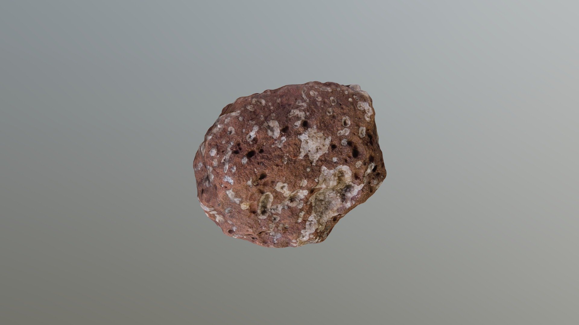 Riolita - 3D model by Laboratorio de Paleobiología (@PaleobioLAB ...