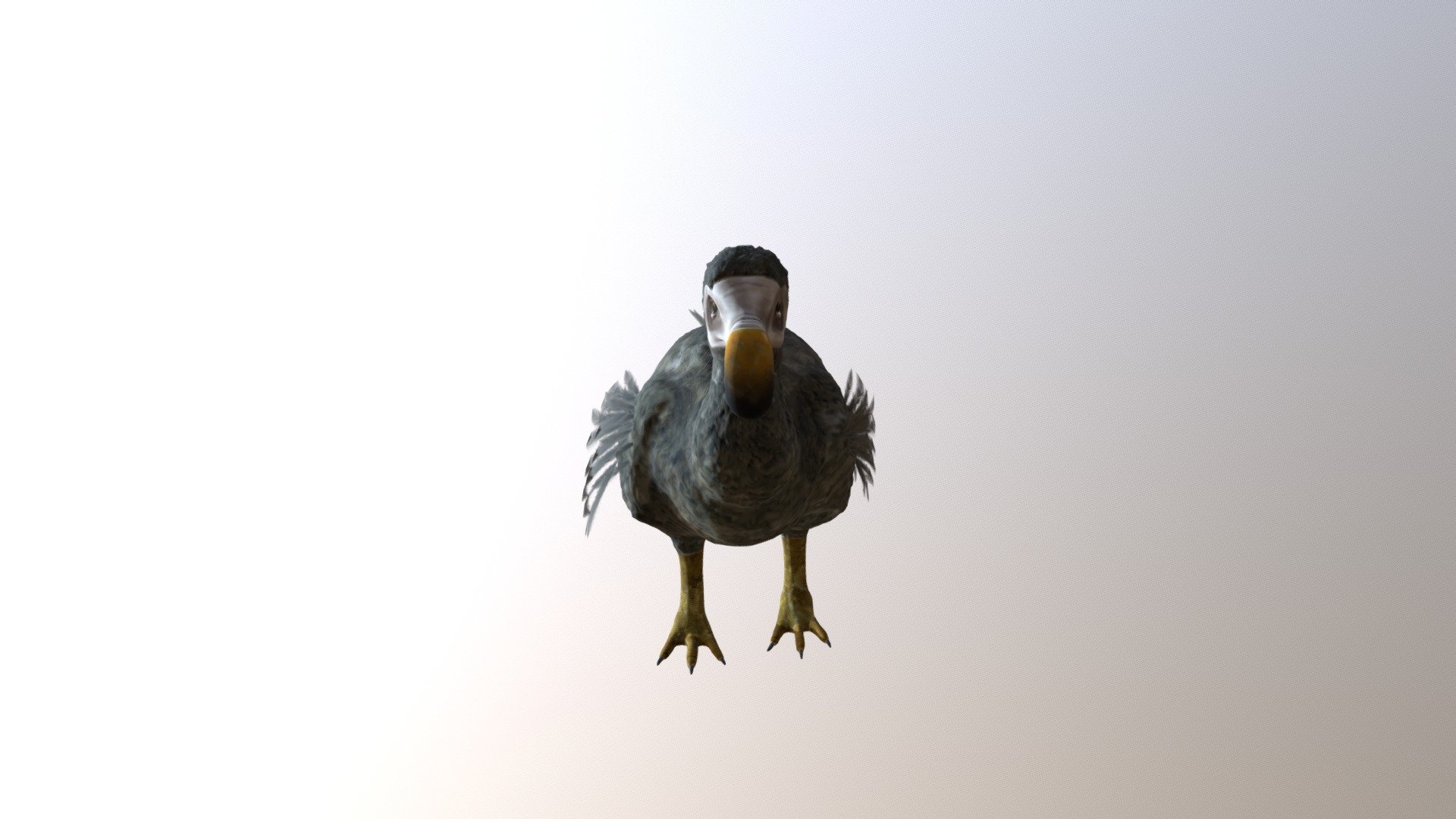 The Dodo - 3D model by Cells (@selim.sinatambou) [d784659] - Sketchfab