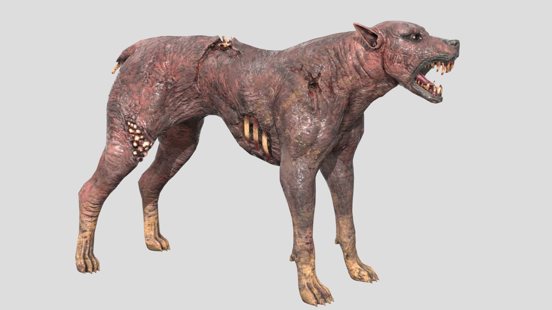 Zombie Dog - Buy Royalty Free 3D model by luxe3dworld [d786e6a ...