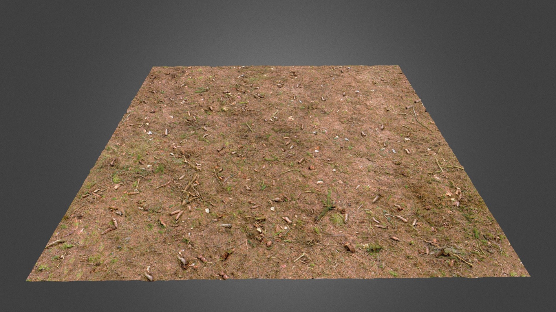 Forest Ground I - 3D model by ProjectNature [d793e88] - Sketchfab