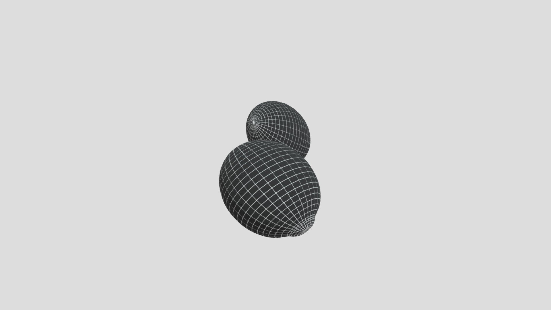 Eye_Fullsection_Week_Sixteen_Wireframe - 3D model by Education Resource ...