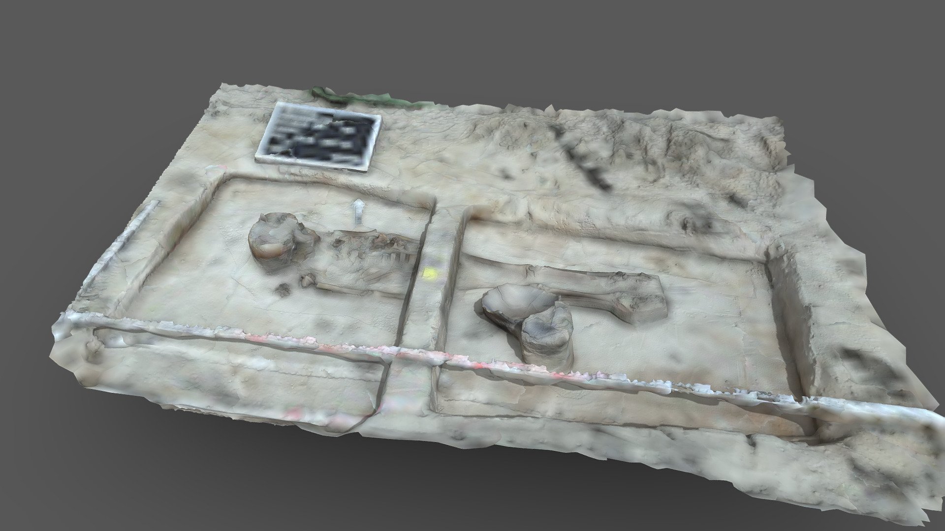 2023 BRB BEF 22 Grab Infant II - 3D model by praehist3d [d7a9107 ...