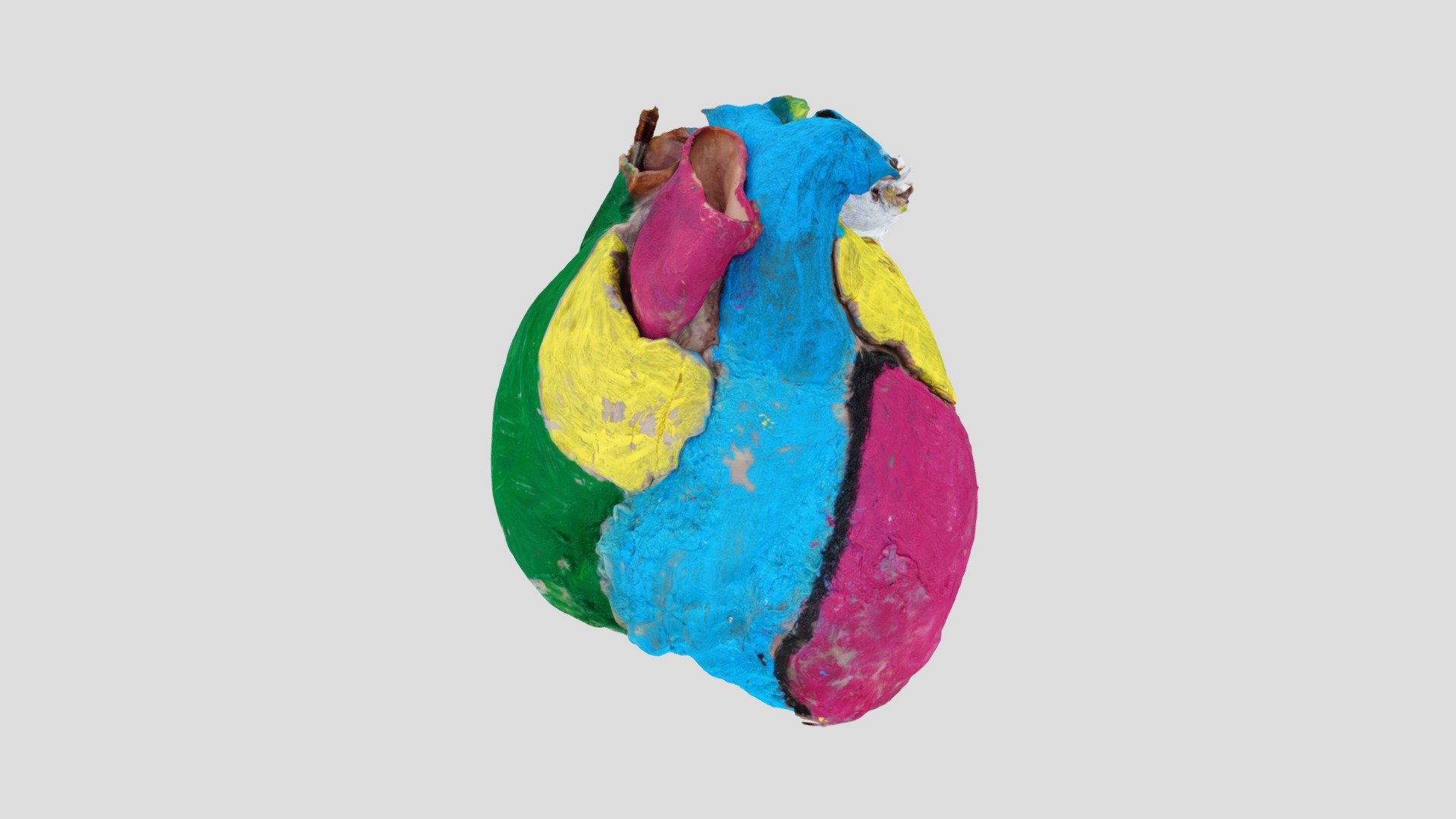 cor-color - 3D model by tomjan [d7aa518] - Sketchfab