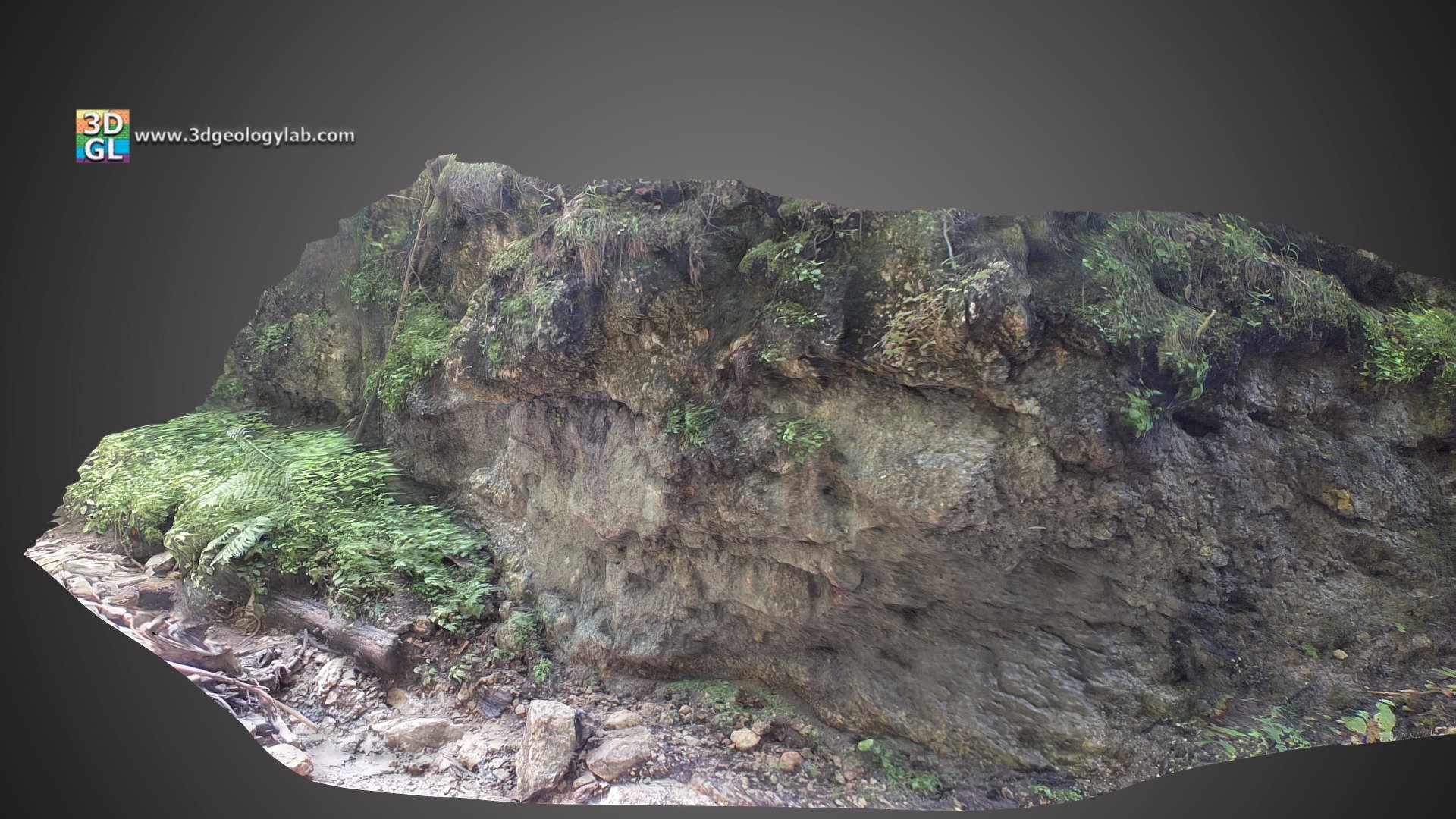 Outcrop - H188 - 3D model by 3D Geology Laboratory (@3DGeologyLab ...