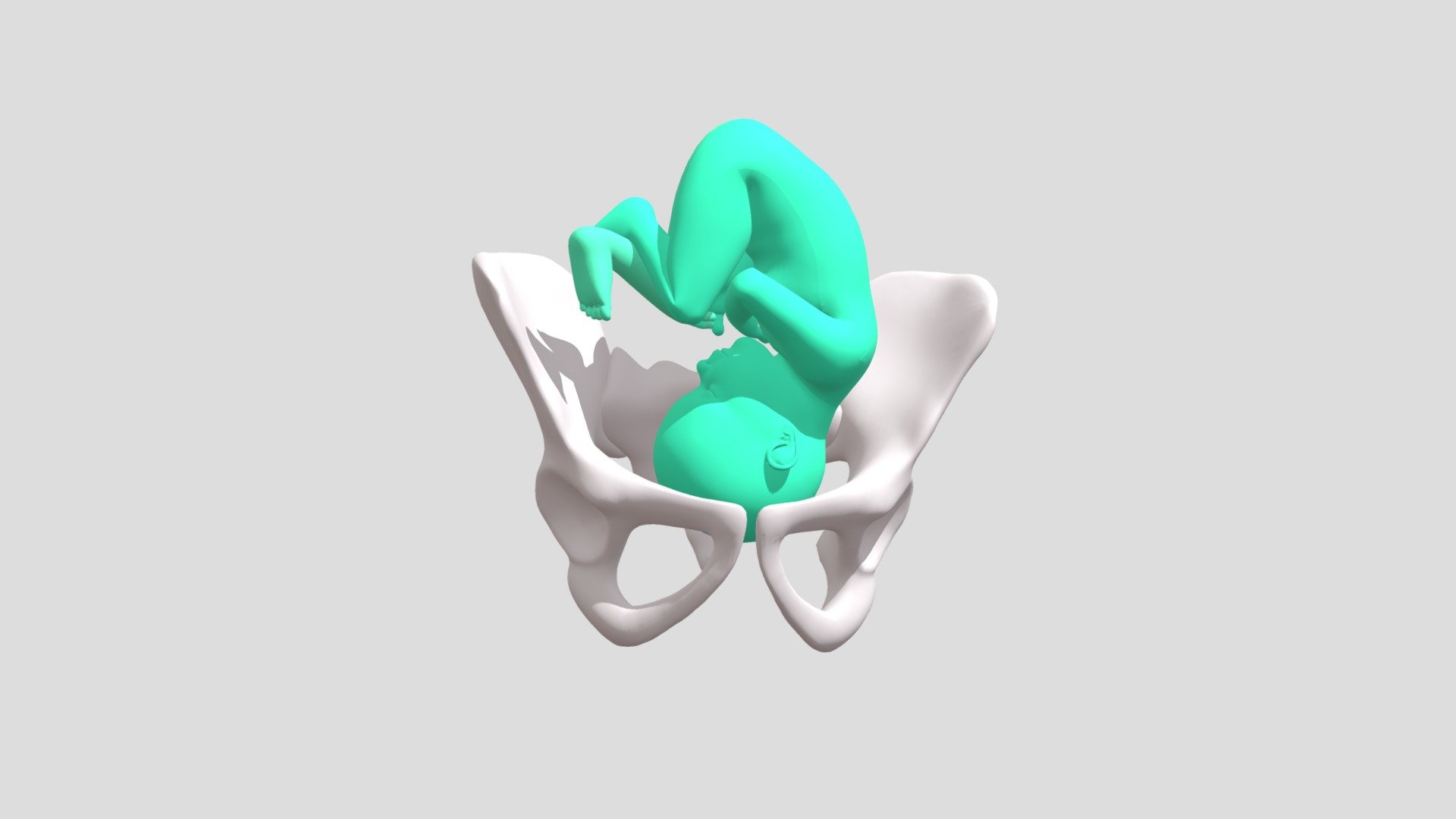 LOP - 3D model by AFTERMSU [d7b4905] - Sketchfab