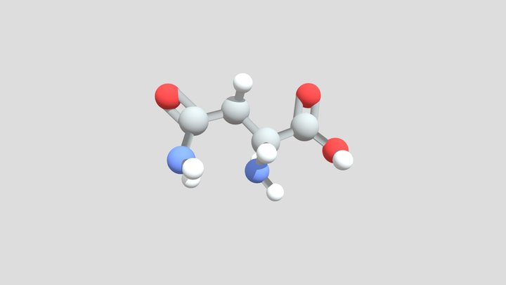 Amino-acids 3D models - Sketchfab