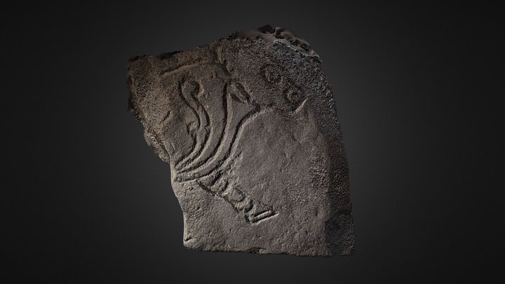 Pictish-bull 3D models - Sketchfab