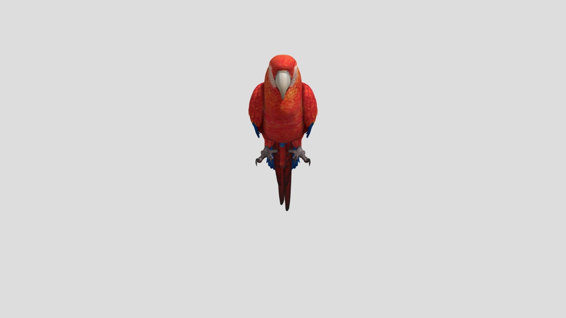 Parrot - Download Free 3D model by moktadir [d7c565e] - Sketchfab
