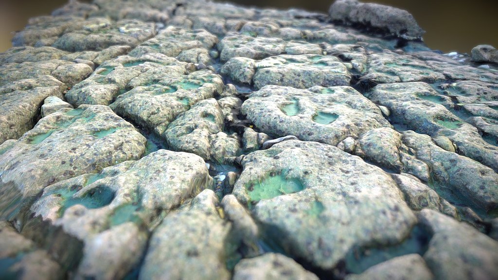 Flamboro - Beach 2 - 3D model by Paul (@paul3uk) [d7cdf93] - Sketchfab