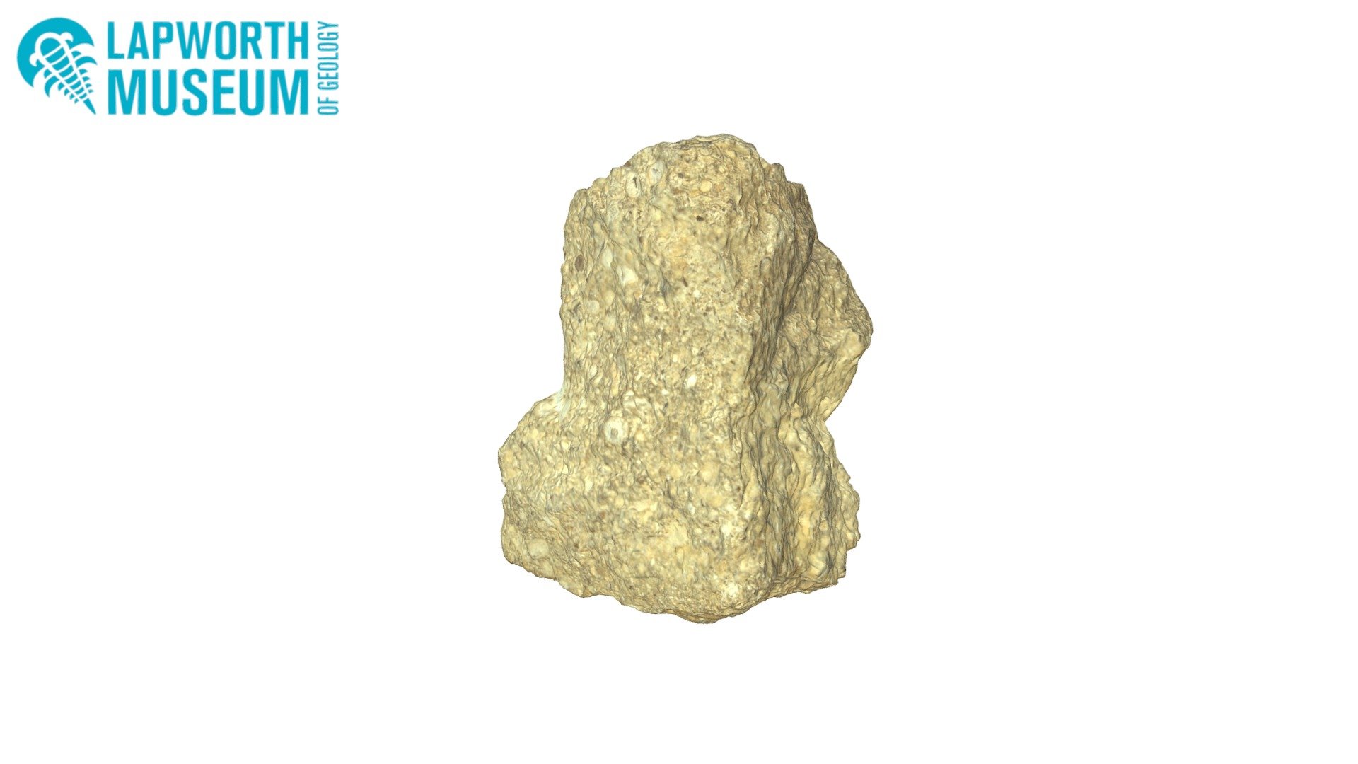 Limestone - Teaching Collection - Download Free 3D model by Lapworth ...