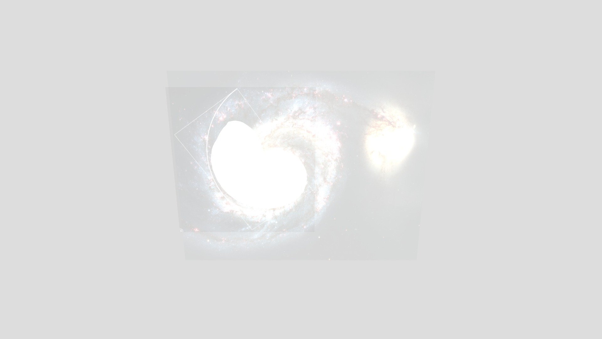what_do_a_seashell_and_a_galaxy_share_in_common - Download Free 3D ...